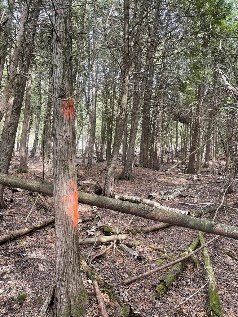 Explore Real Estate is ready to serve you and guide you on your selling ...